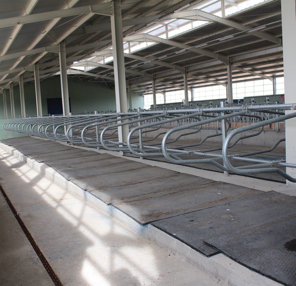 Bed Stall Iron | IK-01 - GNC Agriculture